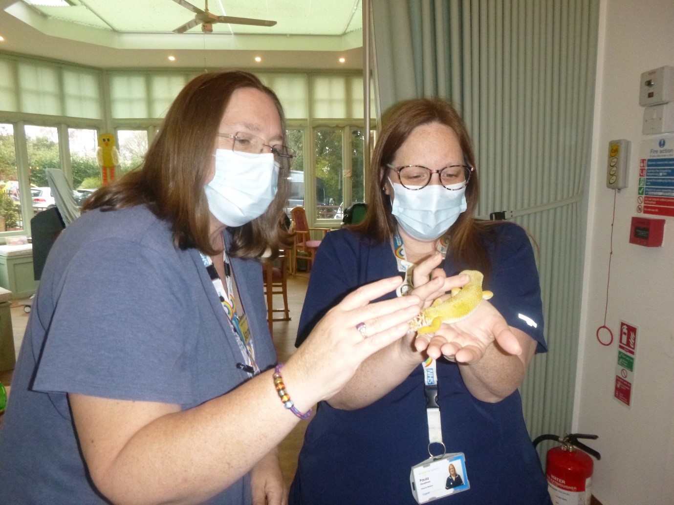 ZooLab visit Tupwood Gate Nursing Home - Cygnet Health Care