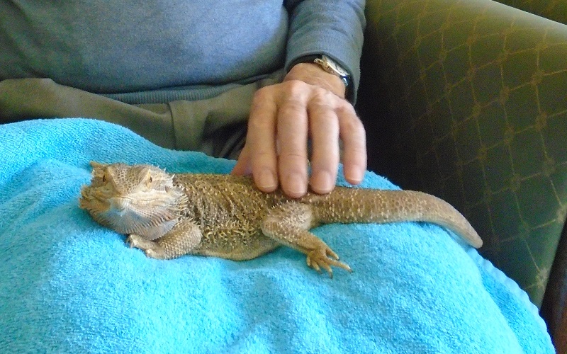 The Lounge Room Lizards pay a visit to Tabley House Nursing Home ...