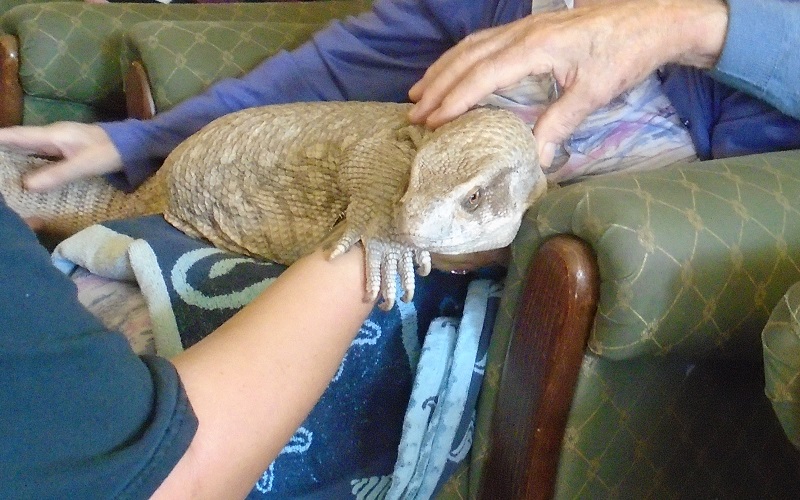 The Lounge Room Lizards pay a visit to Tabley House Nursing Home ...